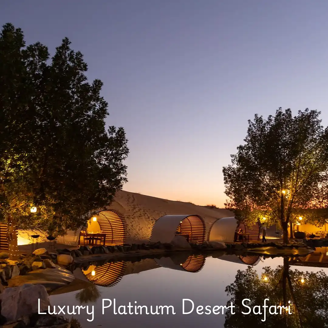 Luxury Desert Safari in Dubai - Morning, Evening & Night Stays
